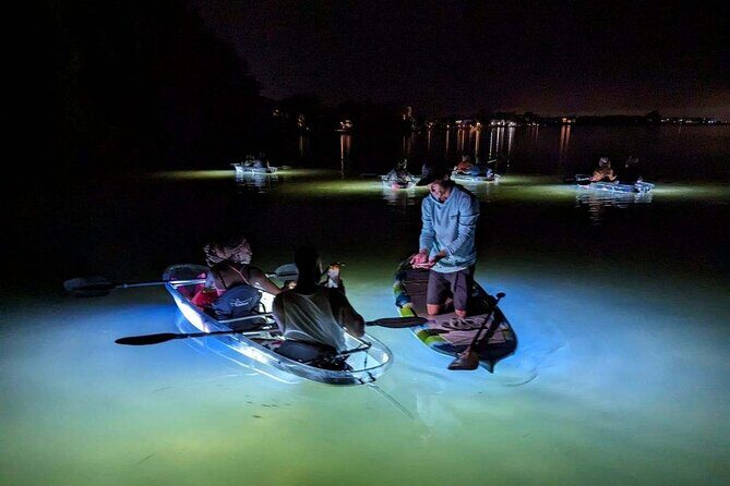 Anna Maria Island Paddleboard Tours - What is the Anna Maria Island LED Night Paddleboard Tour?