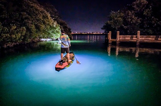 Anna Maria Island Paddleboard Tours - Who Should Consider This Tour?