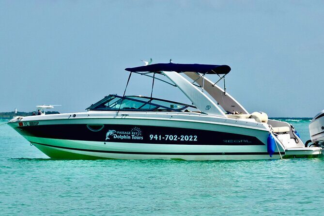 Anna Maria Island Sunset and Dolphin Tour - The Itinerary: What Can You Expect?