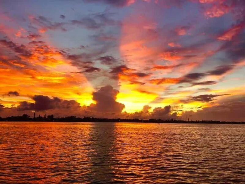 Anna Maria Island: Sunset Dolphin Cruise - An Authentic Gulf Coast Experience for Nature and Sunset Lovers