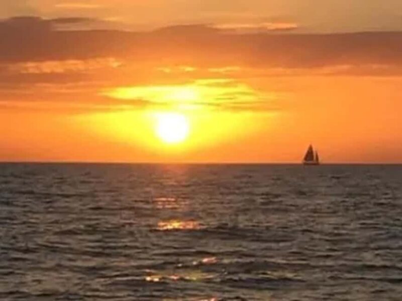 Anna Maria Island: Sunset Dolphin Cruise - The Itinerary in Detail