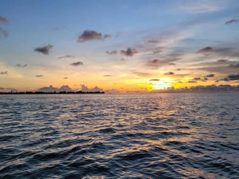 Anna Maria Island: Sunset Dolphin Cruise - Pricing and Value