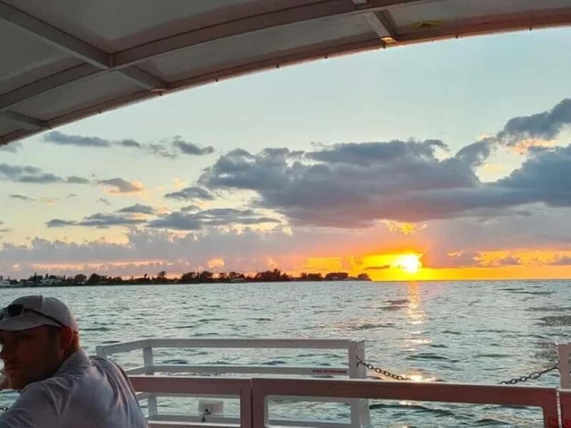 Anna Maria Island: Sunset Dolphin Cruise - Final Thoughts on the Experience