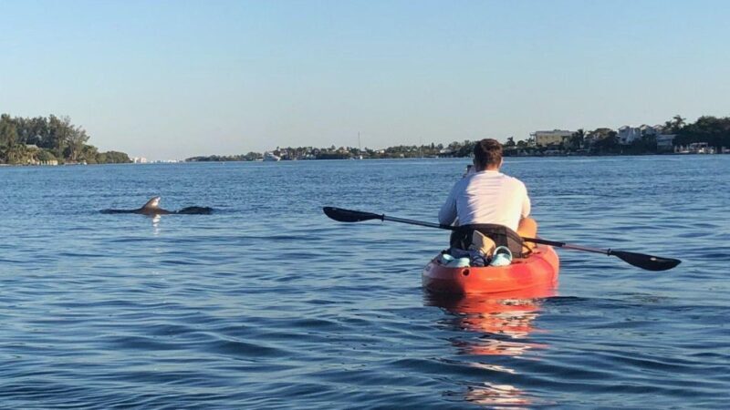 Anna Maria Island: The Island Kayak Tour - Why This Tour Works Well
