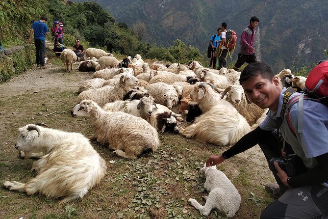 Annapurna: 2 Days 1 Night Poon Hill Trekking - What Makes This Tour Stand Out