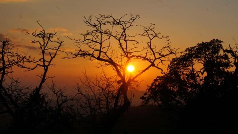 Annapurna: 8 Day Guided easy Trek at Annapurna - Day 7: To the Tranquil Australian Camp