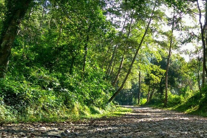 Annapurna Base Camp Trek- 11 Days - Price & Value: Why It’s a Solid Deal