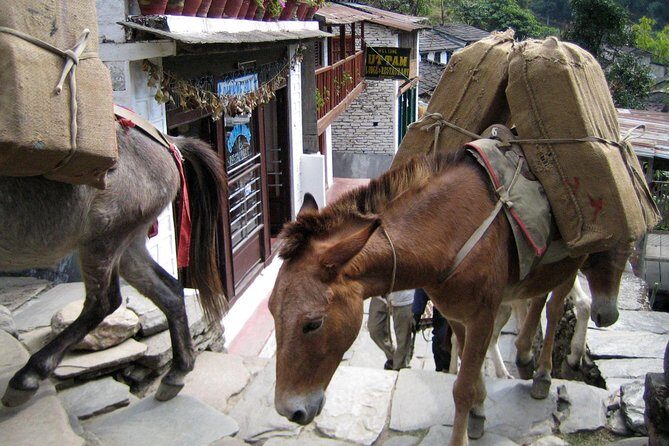 Annapurna Base Camp Trek - The Experience of the Trek