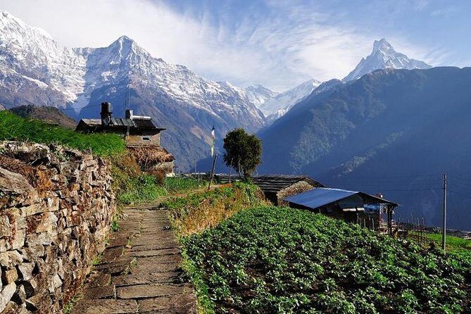 Annapurna Base Camp Trek - What Travelers Say