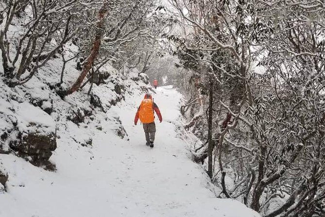 Annapurna base camp trek 5 Days - Day 6: Returning to Pokhara—Relaxing and Reflecting