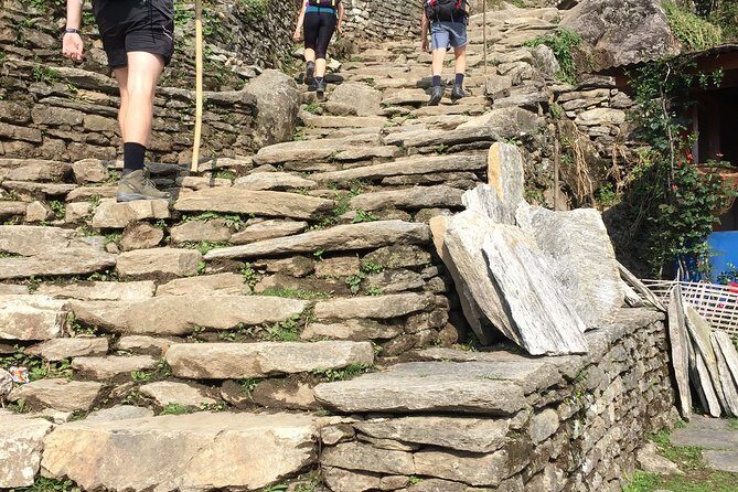 Annapurna Base Camp Trek from Pokhara - Authentic Experiences and Highlights