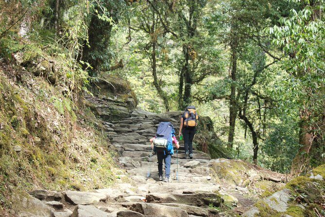 Annapurna Base Camp Trek from Pokhara Nepal - An In-Depth Look at the Annapurna Base Camp Trek Experience