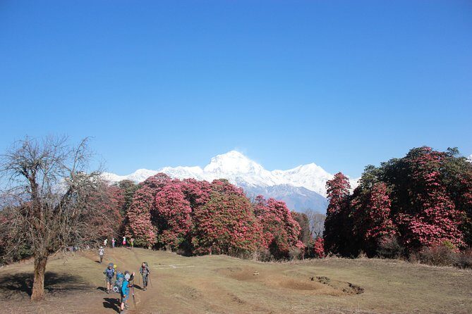 Annapurna Base Camp Trek from Pokhara Nepal - FAQ