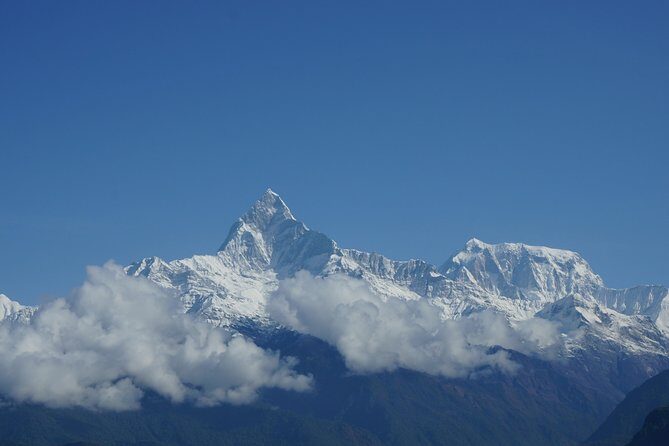 Annapurna Base Camp Trekking - Days 6-7: Poon Hill and Trek to Tadapani and Chhomrong