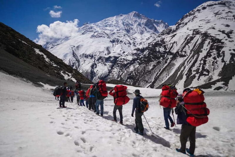 Annapurna Base Camp Trekking 5 Days - Experience and Reviews: Authentic Feedback