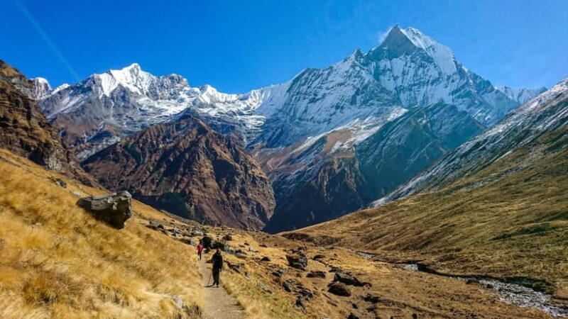 Annapurna Base Camp Trekking 5 Days - Cost and Value Considerations