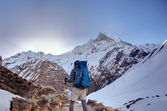 Annapurna Base Camp Trekking - 7 Days - The Experience and What You’ll Love