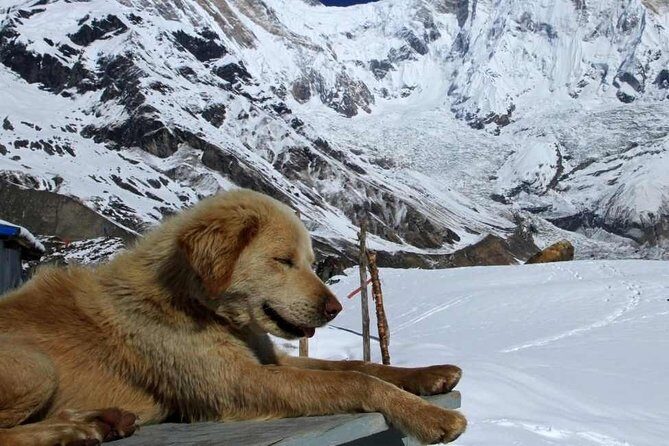 Annapurna Base Camp with Poon hill 9-Day Trek Itinerary - Key Points