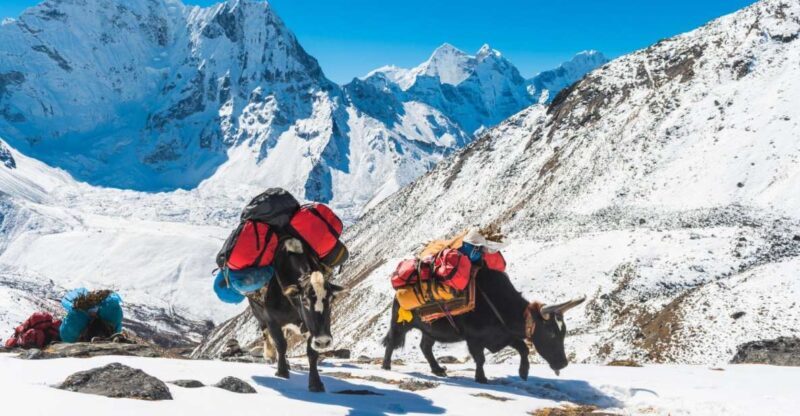 Annapurna circuit and Tilicho lake 17 Days Trek - Natural Beauty and Cultural Encounters