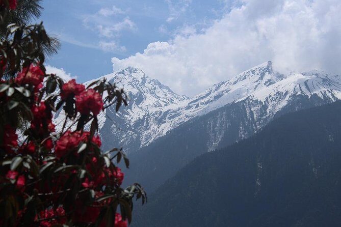 Annapurna Circuit Trail (Best Trekking Experience in the World) - The Itinerary Breakdown: What to Expect at Every Step