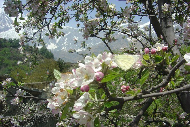 Annapurna Circuit Trek - The Value and Cost