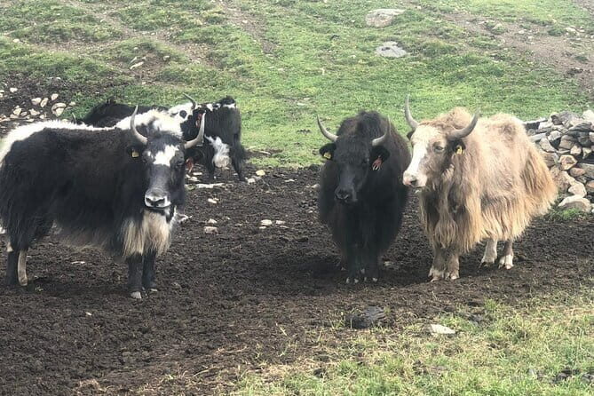 Annapurna Circuit Trek in Nepal (9 Days) - The Sum Up