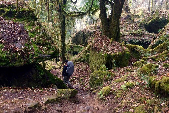 Annapurna Discovery: Trek in Nepal's Annapurna Conservation Area - Final Thoughts