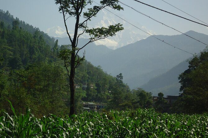 Annapurna Ghandruk village Trek - A Full Breakdown of the Annapurna Ghandruk Village Trek Experience