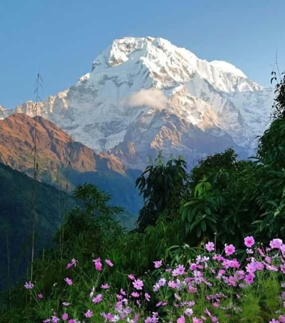 Annapurna Middle Peak Expedition 2025 | 2026 - The Mountain Experience
