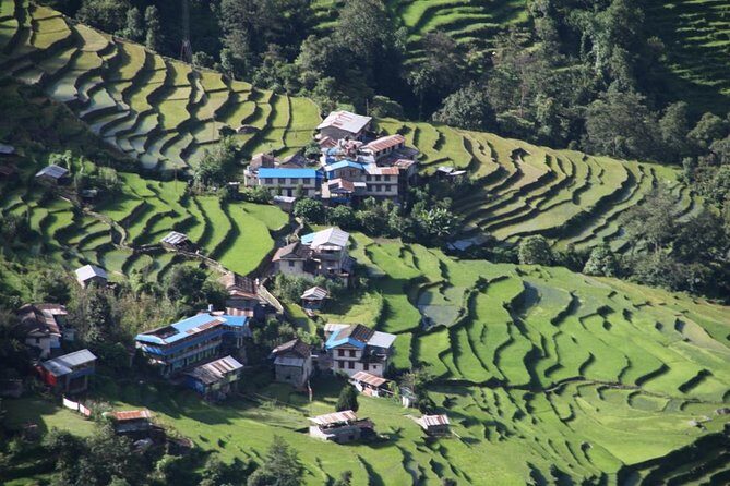 Annapurna Mini Trek - Day 8: Departure