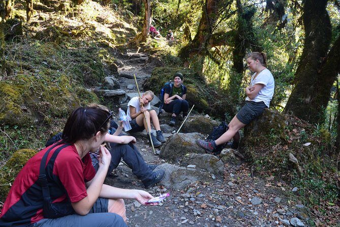 Annapurna Poonhill Trek - An Overview of the Annapurna Poonhill Trek Experience