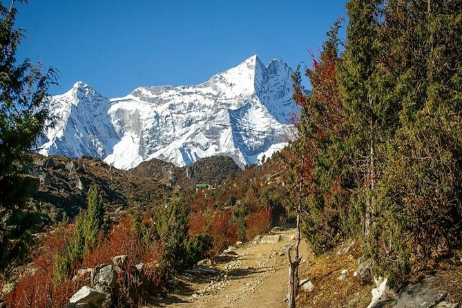 Annapurna Region Trek - 6 days - An In-Depth Look at the Annapurna Region Trek