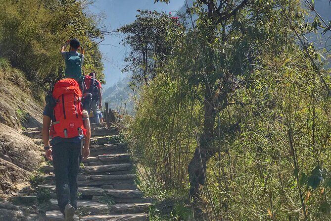 Annapurna Sanctuary Trek ( 11 Days) - Days 9 & 10: Retracing your steps and exploring Pokhara