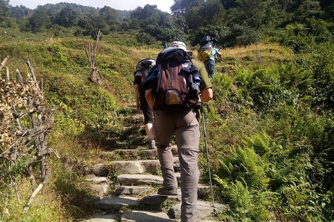 Annapurna Sunrise Trek - What to Expect from the Annapurna Sunrise Trek