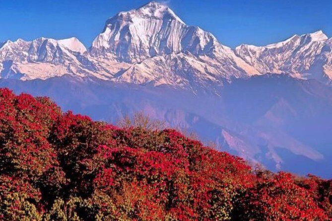 Annapurna Sunrise Trek from Kathmandu - Trek to Tadapani and Ghandruk