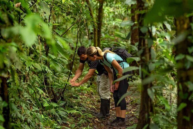 Annapurna Sunset : Hiking to Peace Pagoda via Fewa Lake & Jungle - Practical Tips and Considerations