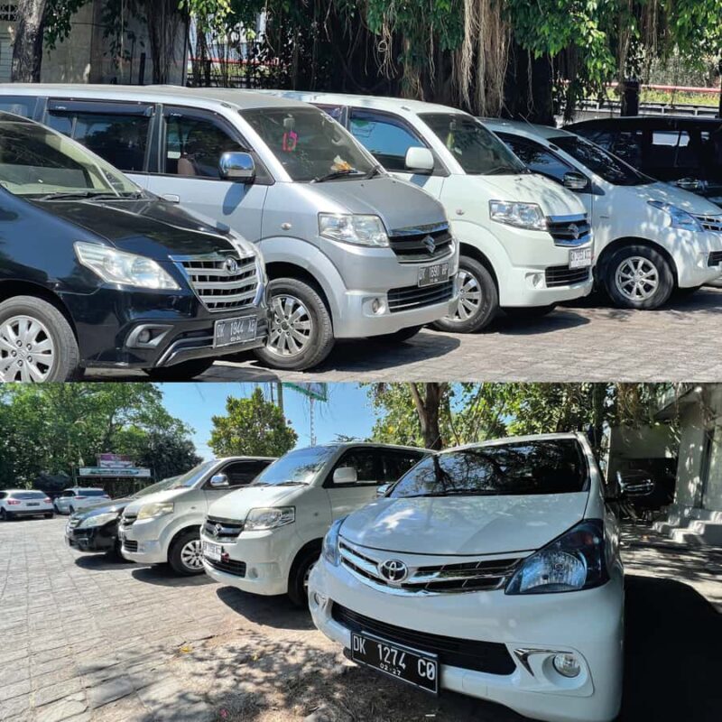 Another Paradise Nusa Penida Tour - What’s Included and What You’ll Appreciate