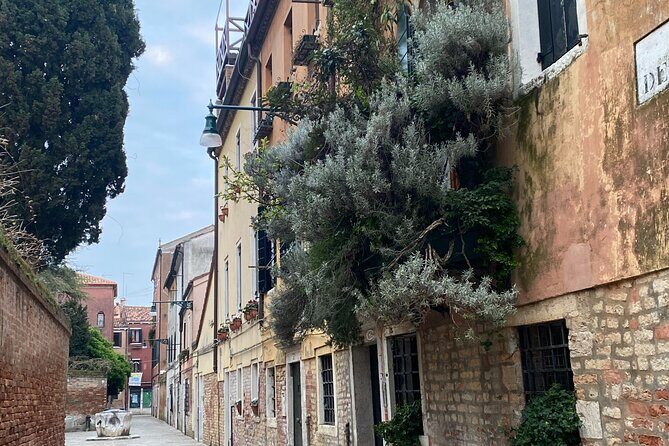 Another Side of the City: Discovering Authentic Venice - The Sum Up: Who Will Love This Tour?
