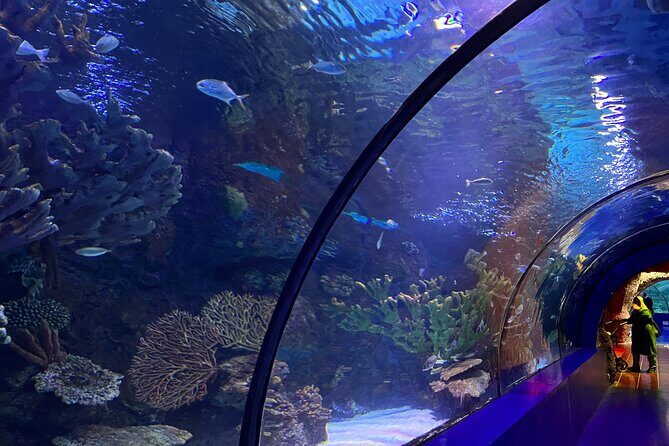 Antalya Aquarium and Face to Face Wax Museum Private Transfer - FAQ