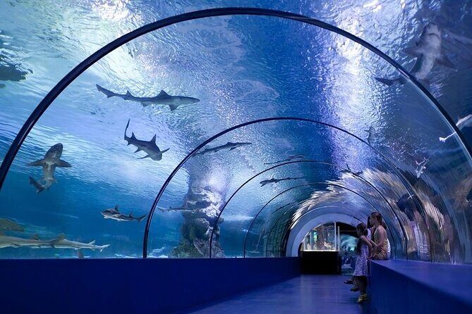 Antalya Aquarium and Face to Face Wax Museum Ticket - Introduction: What to Expect from the Antalya Aquarium and Wax Museum Tour