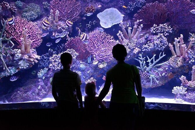 Antalya Aquarium and Face to Face Wax Museum Ticket - Key Points