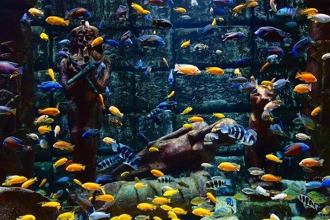 Antalya Aquarium and Face to Face Wax Museum Ticket - Who Would Enjoy This Tour?
