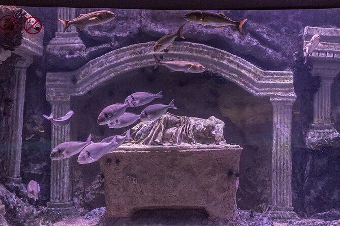 Antalya Aquarium and Face to Face Wax Museum Ticket - The Sum Up: Is It Worth It?