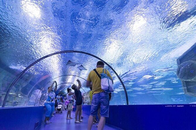 Antalya Aquarium and Face to Face Wax Museum Ticket - FAQ: Practical Questions About the Tour