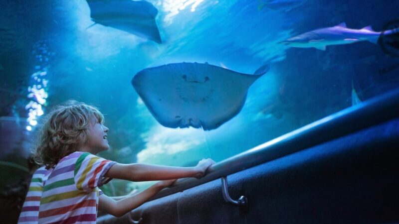 Antalya: Aquarium and Old Town Guided Tour - Authentic Insights from Reviews