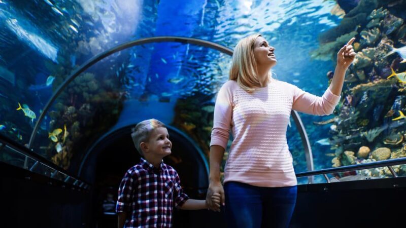 Antalya: Aquarium and Wax Museum Entry Ticket - Key Points