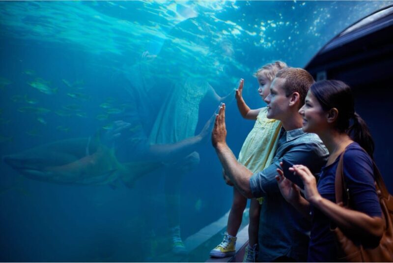 Antalya: Aquarium and Wax Museum Entry Ticket - Detailed Breakdown of What to Expect