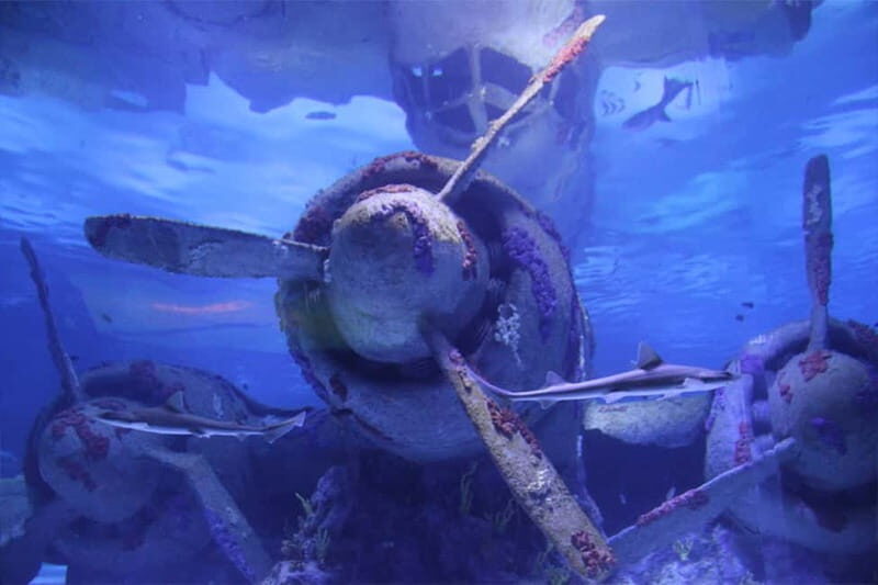 Antalya: Aquarium, Wax Museum, Snow World & Wild Park Ticket - Who Should Consider This Tour?