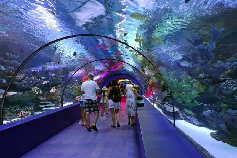 Antalya: Aquarium, Wax Museum, Snow World & Wild Park Ticket - Final Thoughts