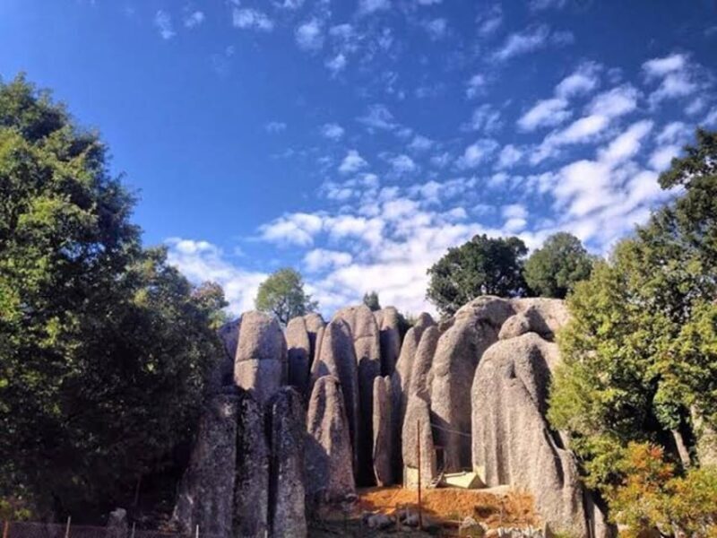 Antalya/Belek: Rafting With Quad Safari, Zipline Options - End of the Day: Return and Reflection